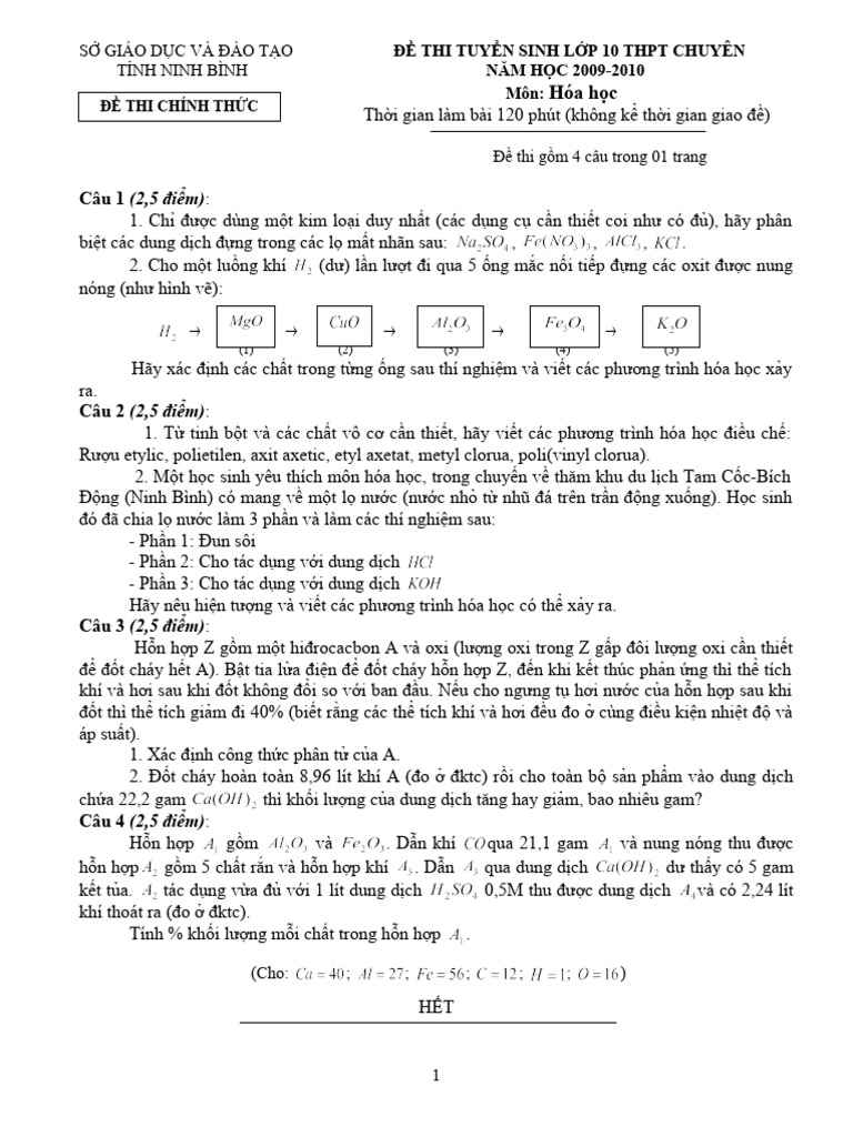 HDC Hoa 10 Chuyen Ninh Bình 09-10 | PDF