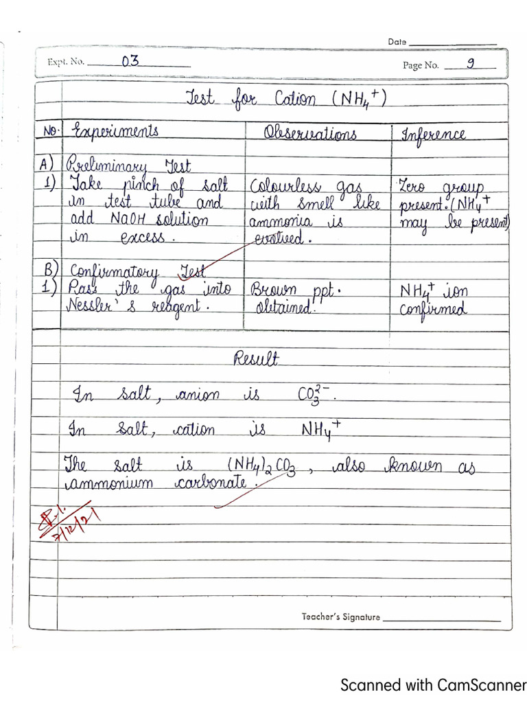 3 - Test For Ammonium | PDF
