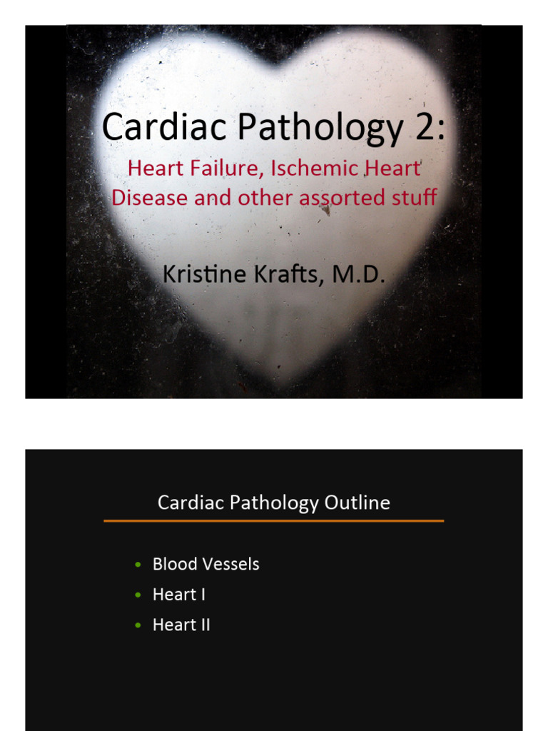 13 Cardiovascular Pathology II Color | PDF | Heart | Myocardial Infarction