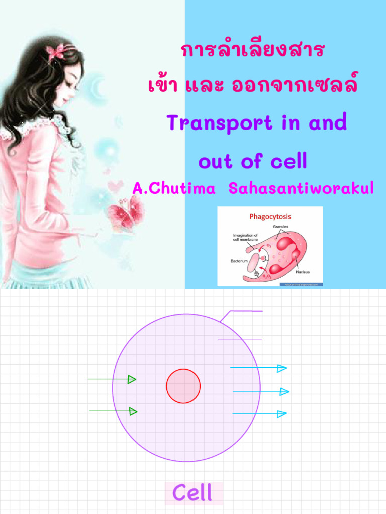 Cell Transport | PDF