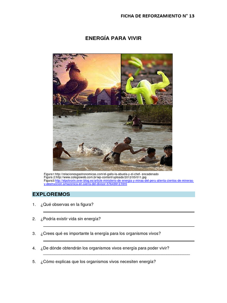 Exp3 - Ficha13 - Gr. 1ero - Bim II - 2024 | PDF | Siembra | Plantas