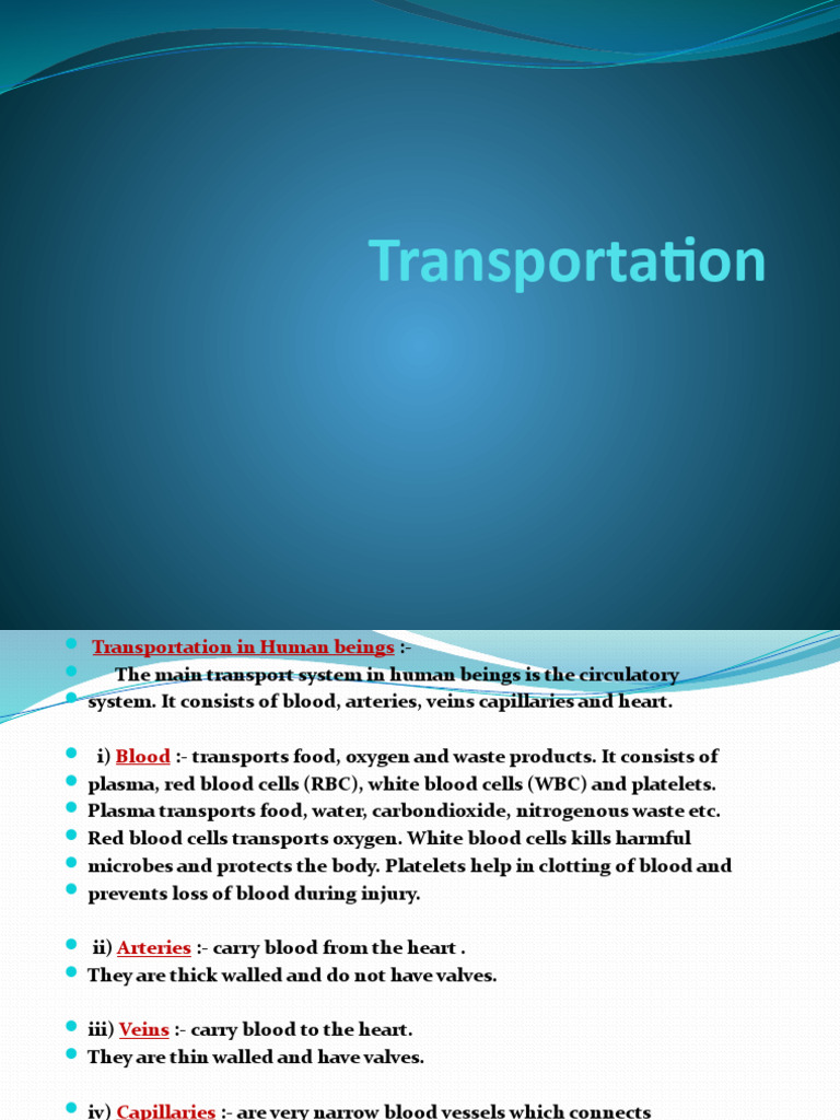 Transportation | PDF | Atrium (Heart) | Heart