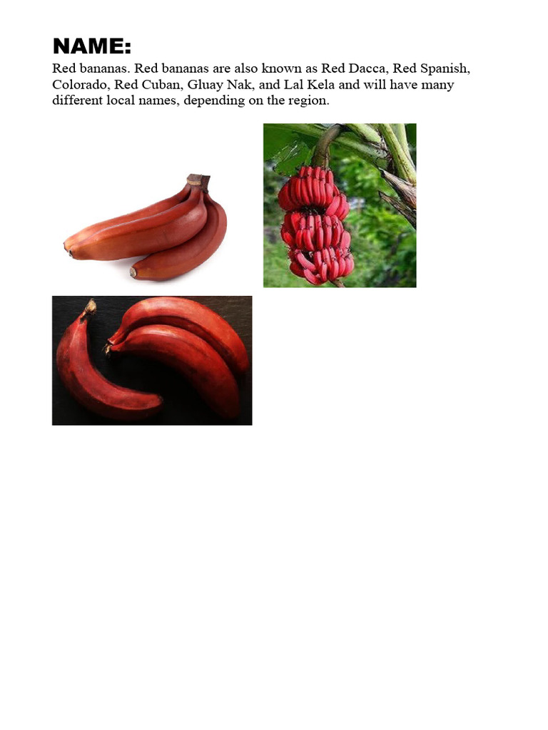 Benefits and Origins of Red Bananas | PDF