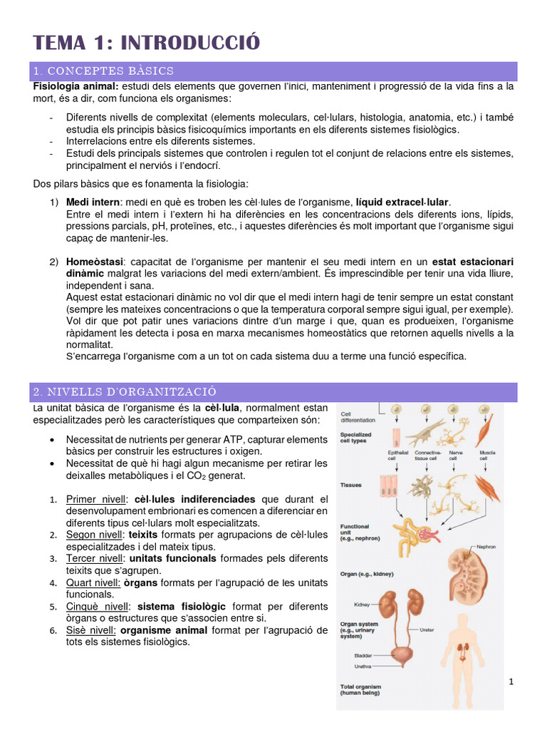 Fisio 1 | PDF