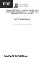 Anatomia do Peritônio e Cavidade Peritoneal | PDF | Peritônio | Corpo ...