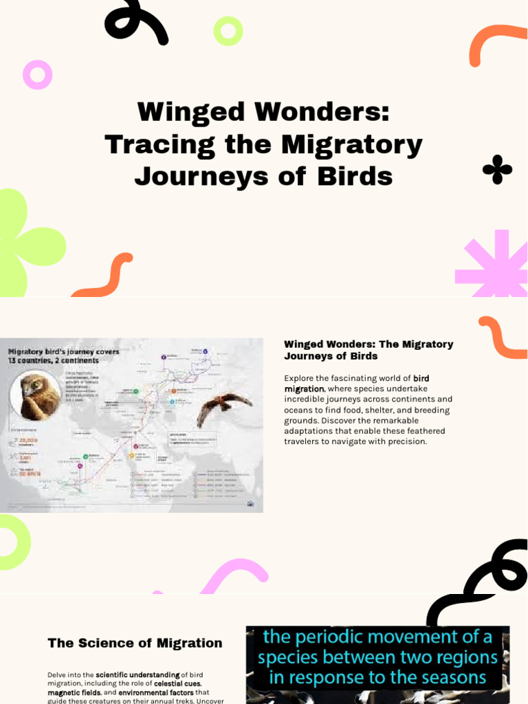 Winged Wonders Tracing The Migratory Journeys of Birds 20240721141702fv1i | PDF | Bird Migration ...
