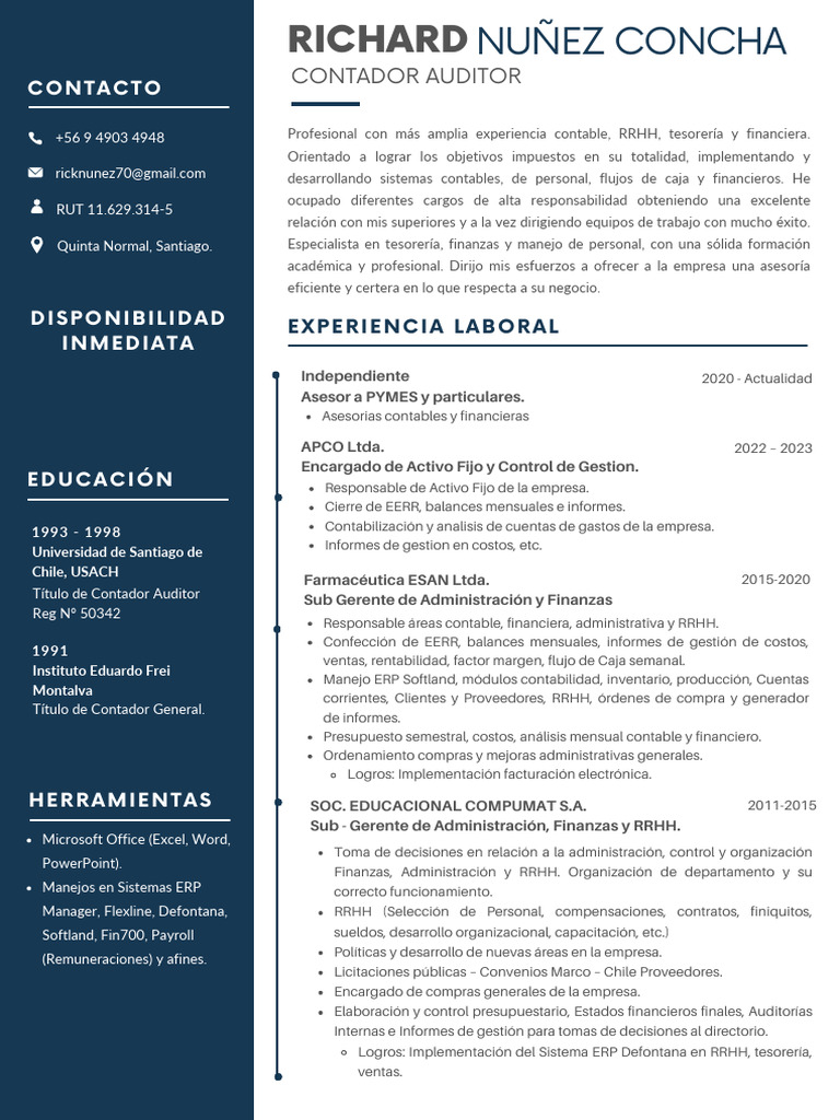 CV 2024 1718381556 | PDF | Contador | Contabilidad