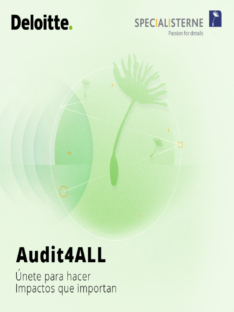 Flyer Proyecto Deloitte-Specialisterne - 2024 | PDF