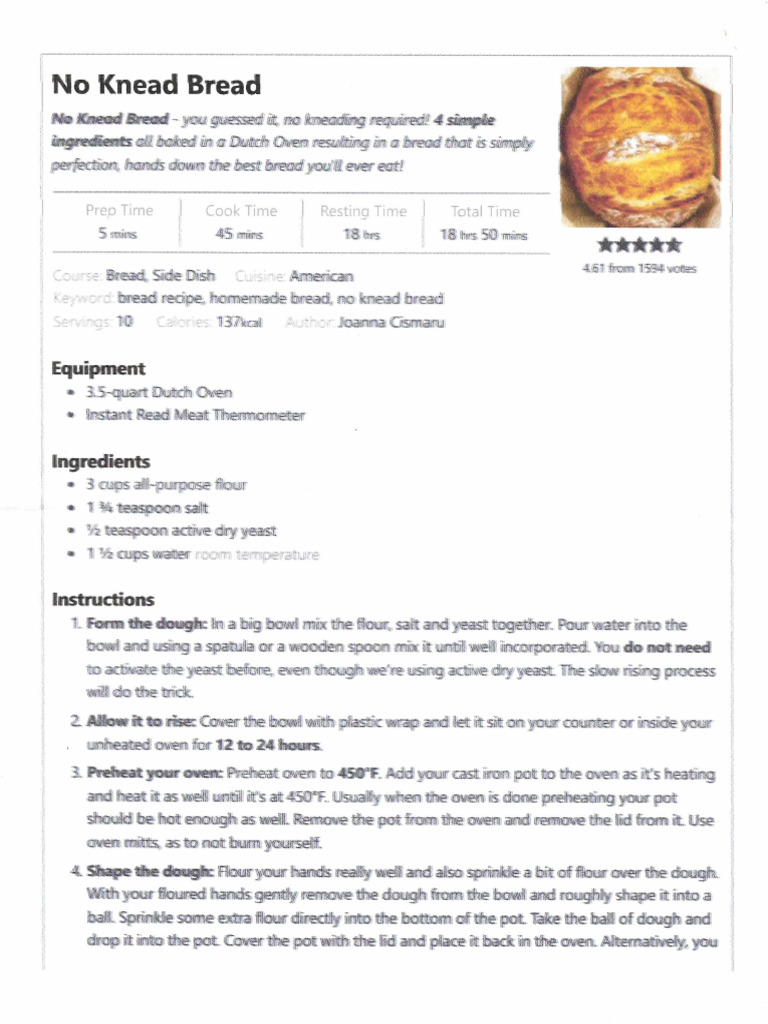 Beans and No Kneed Bread | PDF