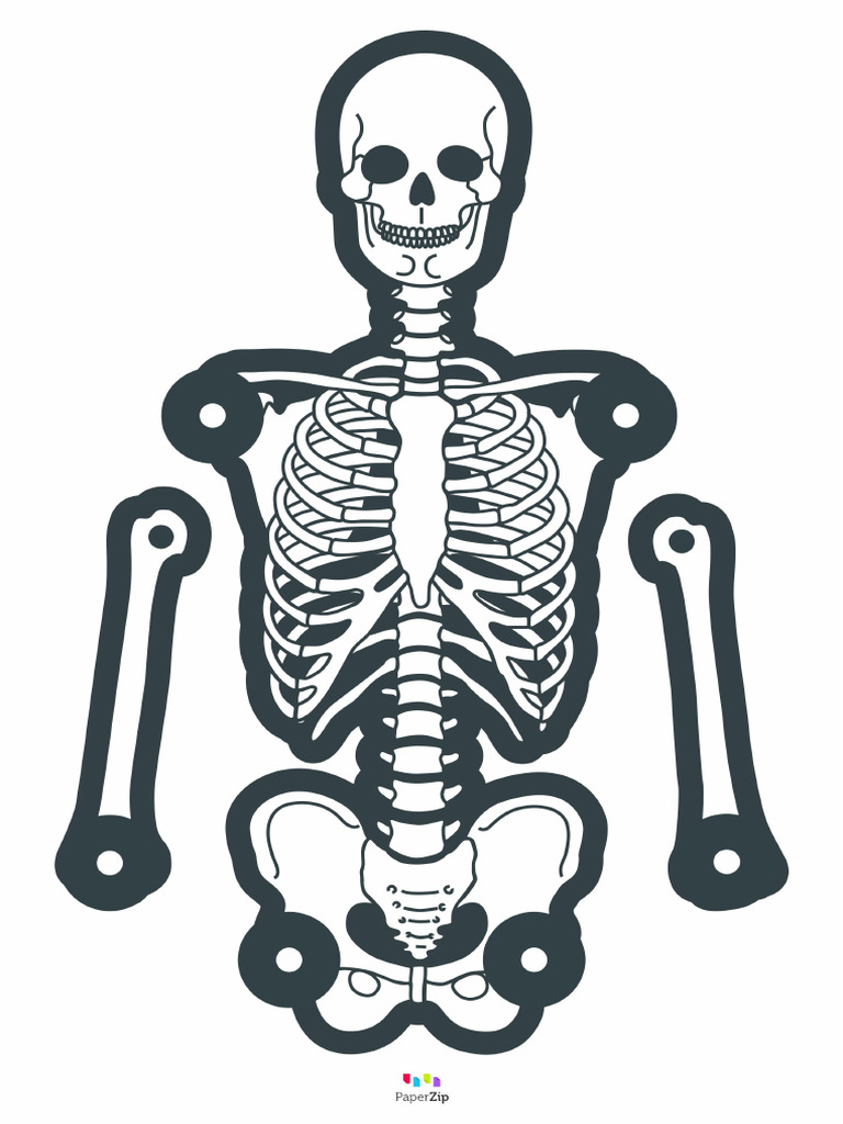 Skeleton Templates | PDF