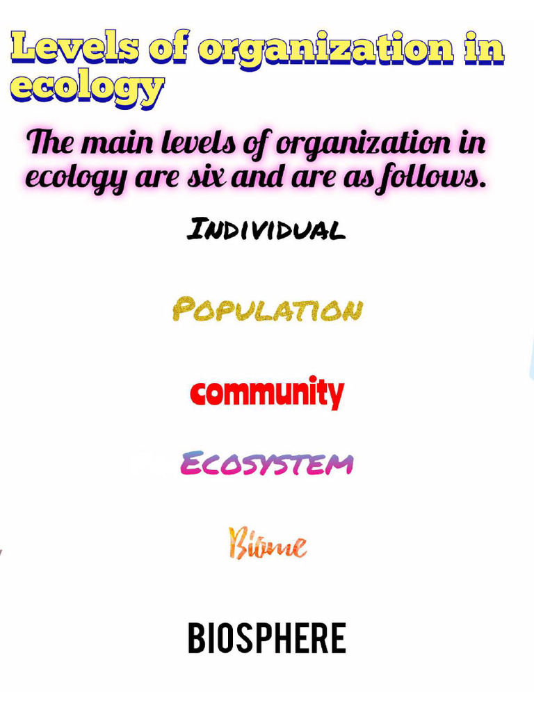 Levels of Organization - Compressed | PDF