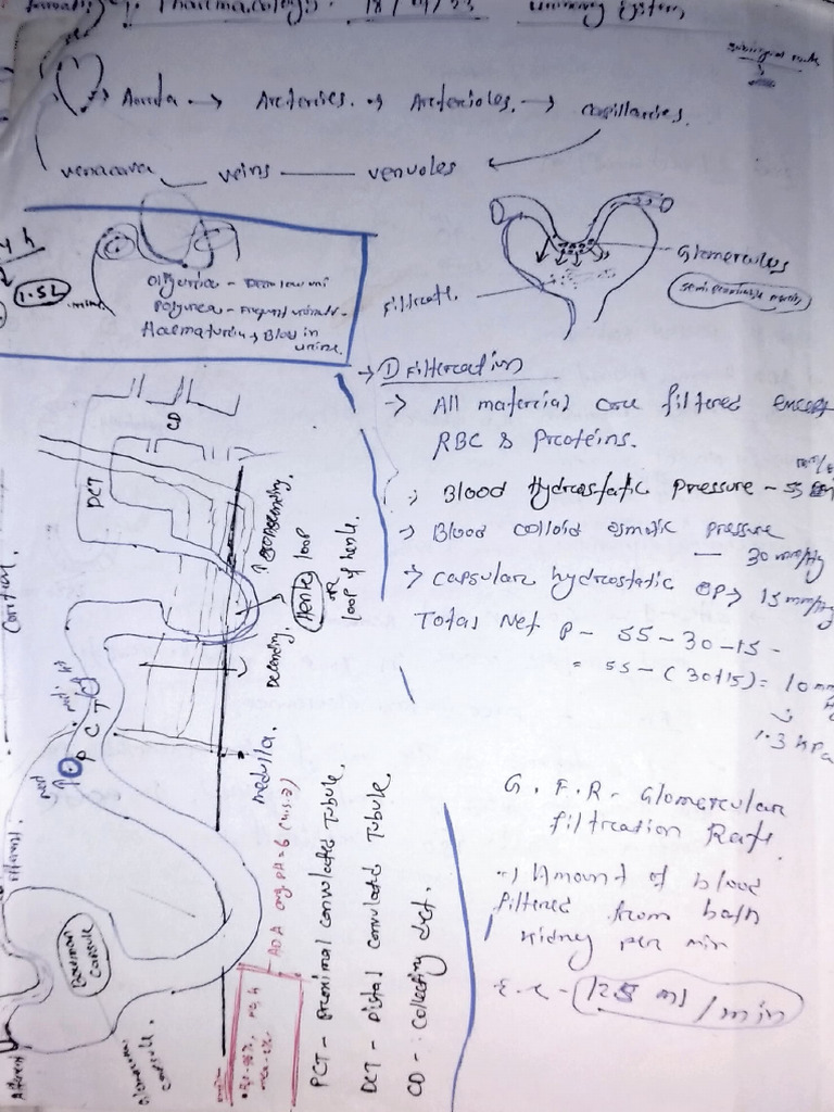 Adobe Scan Jan 25, 2024 | PDF