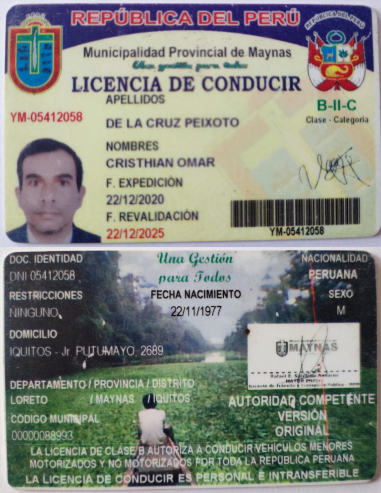 Licencia | PDF