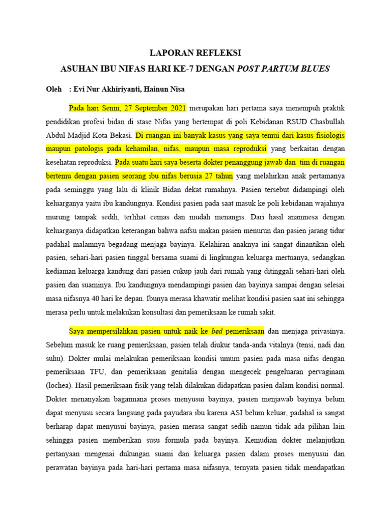 Contoh Laporan Refleksi Ibu Nifas Dengan Post Partum Blues (Evi) | PDF