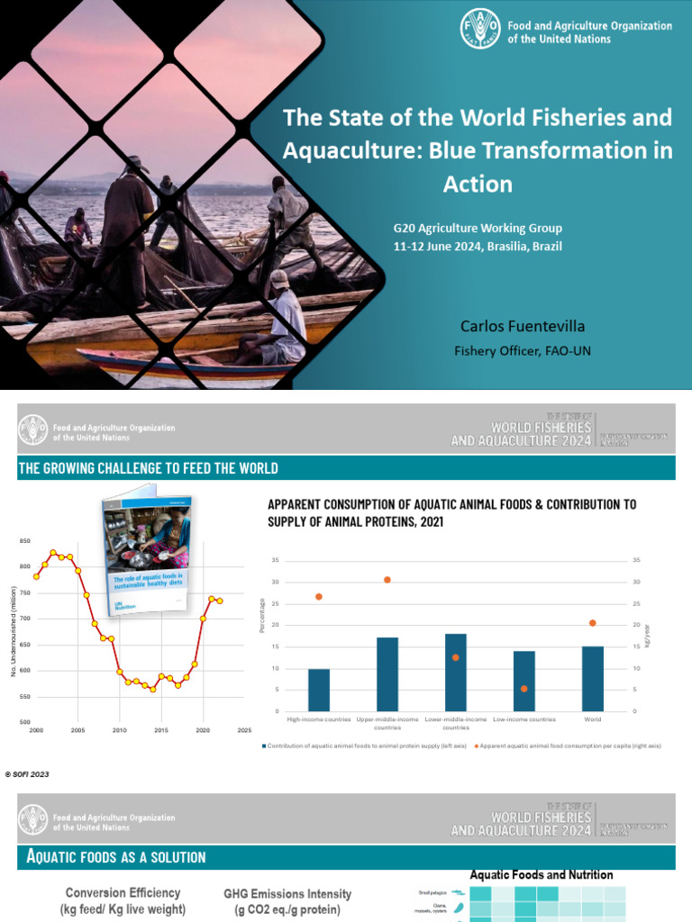 s1 01 Fao Blue Transformation | PDF | Aquaculture | Fishery