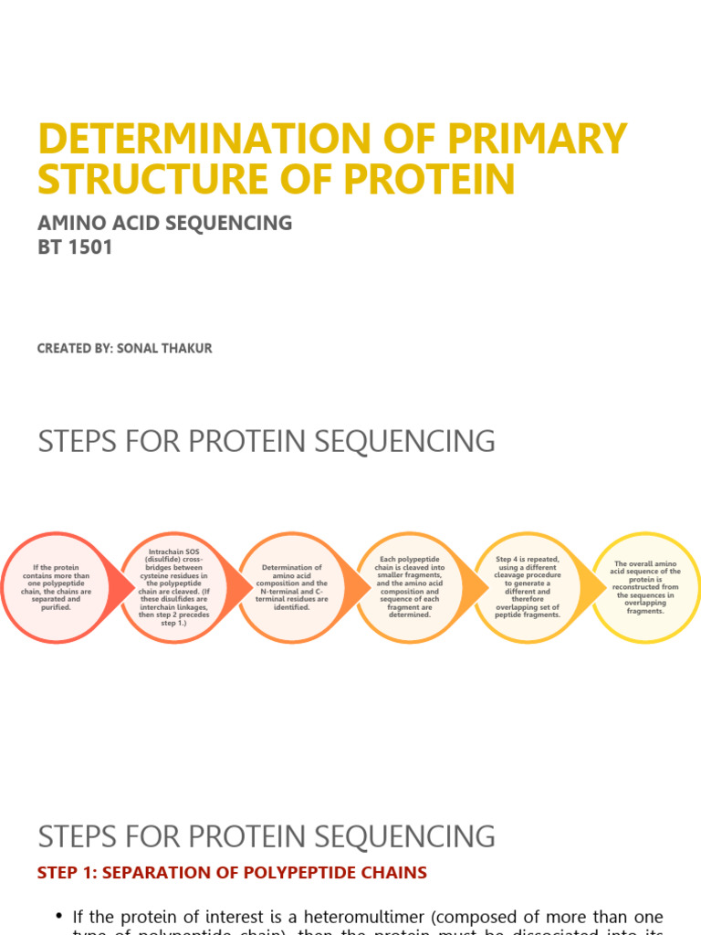 Determination of Primary Structure of Protein | PDF | Amino Acid | Proteins