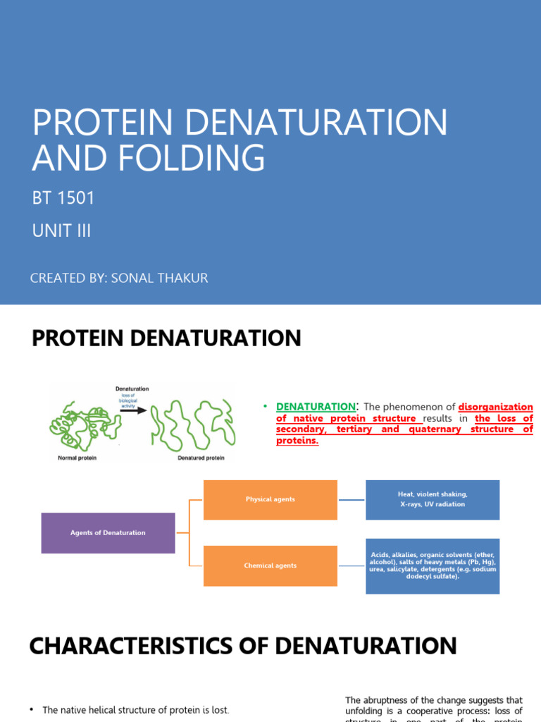 Protein Denaturation and Folding Overview | PDF | Protein Structure ...