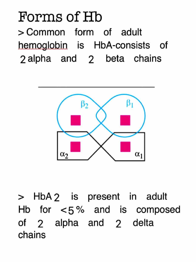 Types and Functions of Hemoglobin | PDF