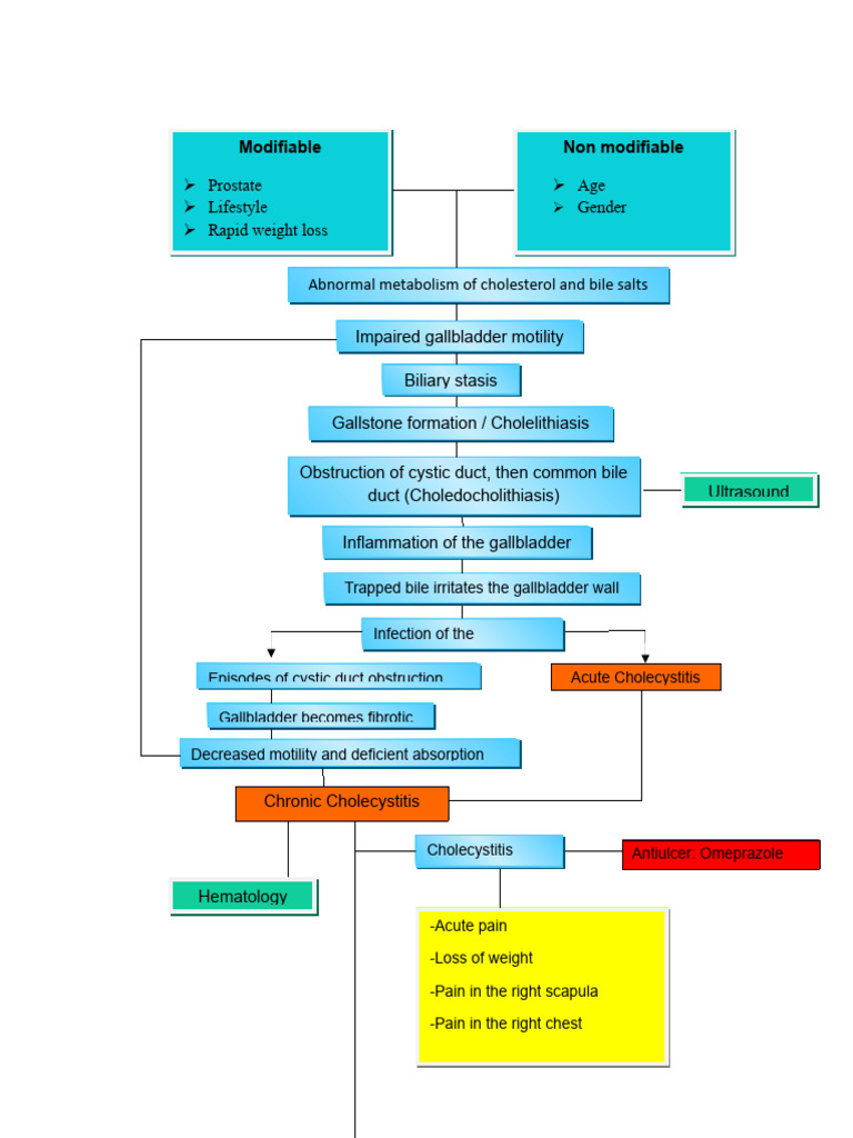 Pathophysiology f8 | PDF | Wellness