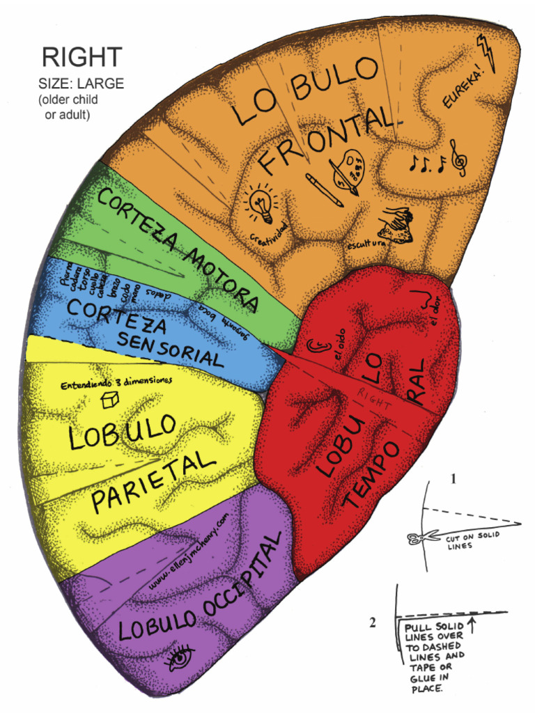 Spanish Brain Hat | PDF