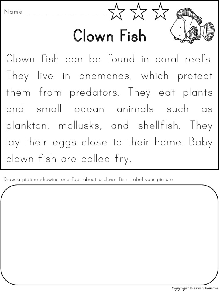 Name - : Draw A Picture Showing One Fact About A Clown Fish. Label Your ...