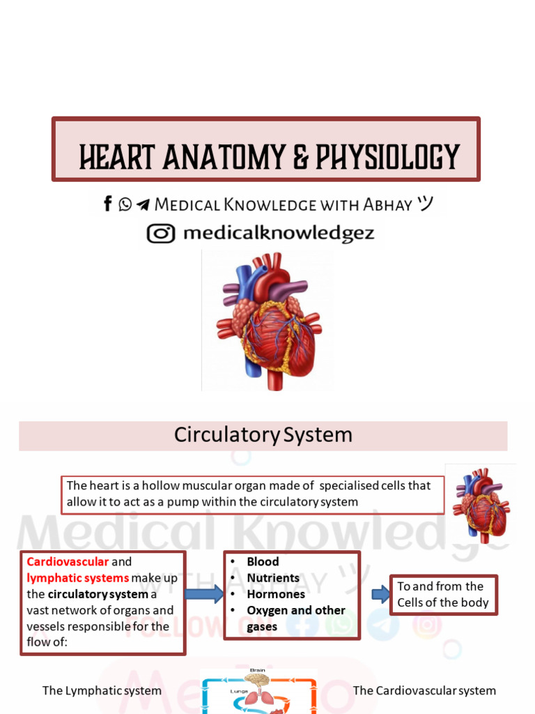 Heart Anatomy and Physiology | PDF | Heart | Human Body