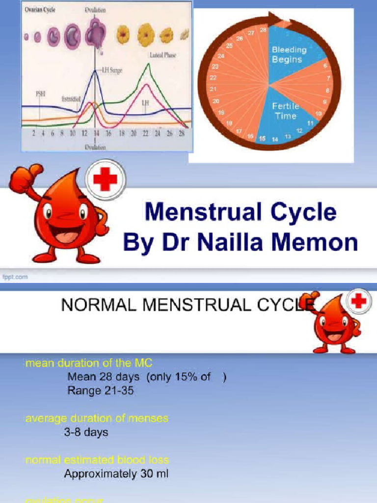 Menstrual Cycle | PDF