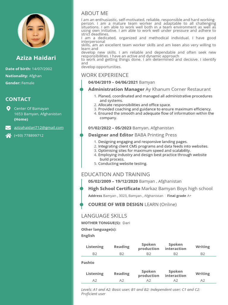 CV - Aziza Haidari | PDF | World Wide Web | Internet & Web