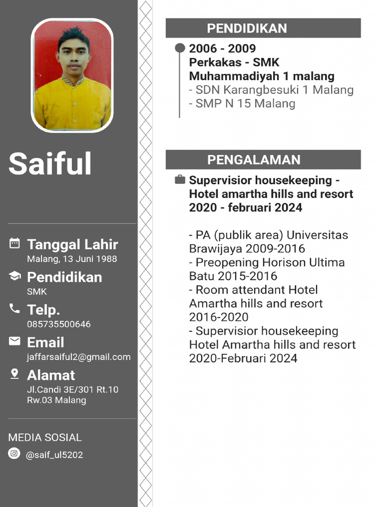 CV Saiful | PDF