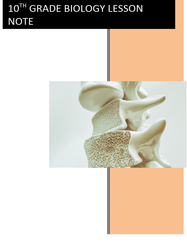 10th Grade Biology Curriculum | PDF | Vertebra | Skeleton