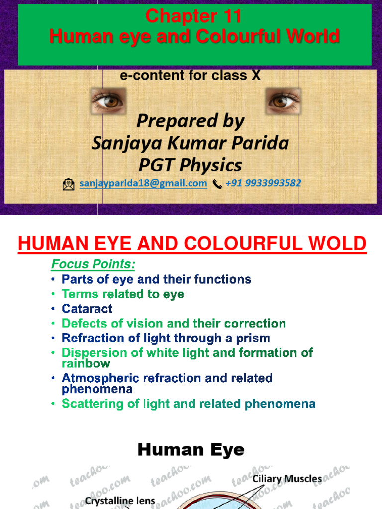 Chapter 11 Human Eye and Colourful World | PDF | Eye | Human Eye