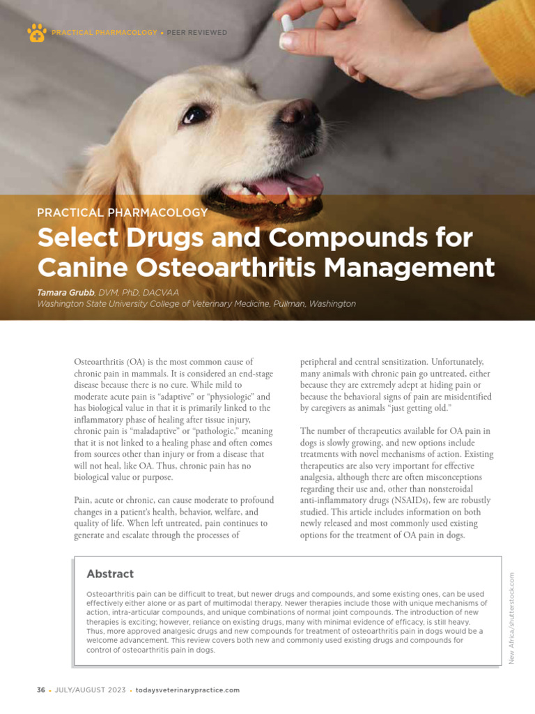 TVP-2023-0708 OA Drugs | PDF | Medical Treatments | Pharmacology