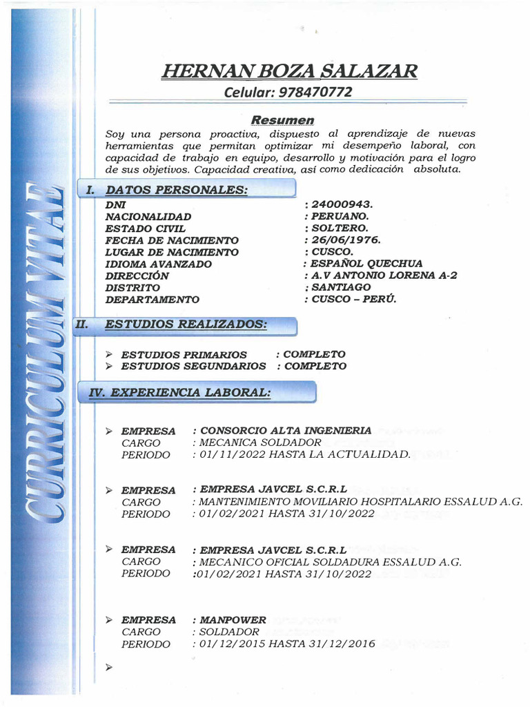 CV Hernan Boza | PDF