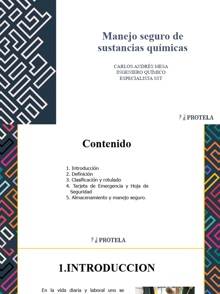 Manejo Seguro de Sustancias Químicas | PDF | Relaciones personales, crianza y desarrollo ...