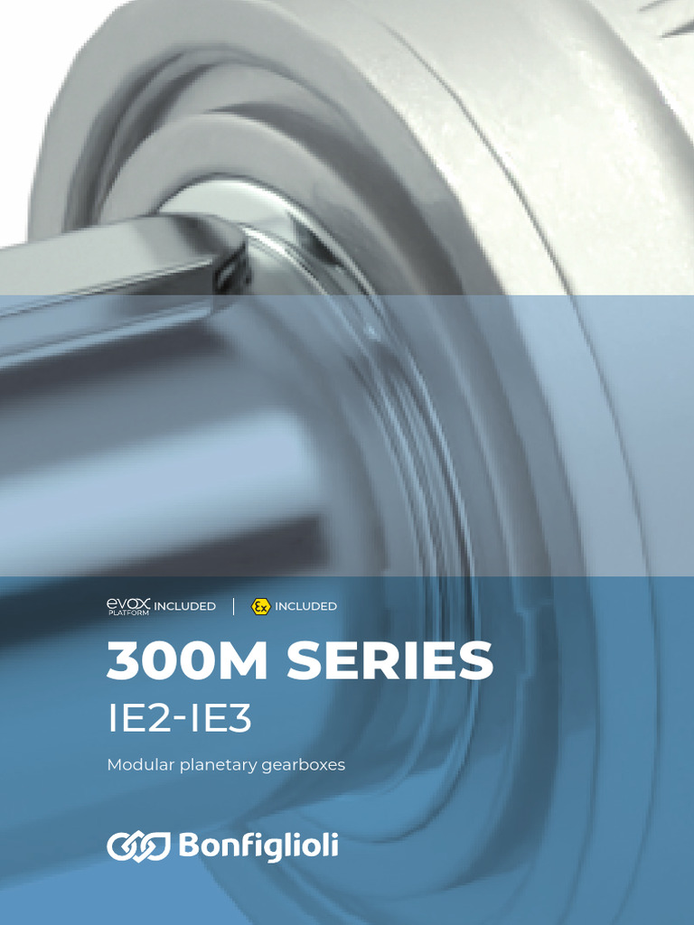 BR Cat 300M Ie2-Ie3 Eng R04 0 | PDF | Gear | Electric Motor