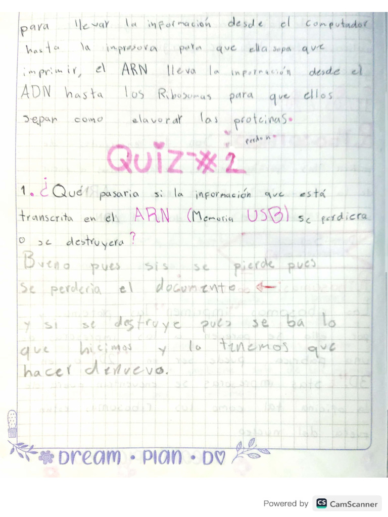 Evaluación Escrita | PDF