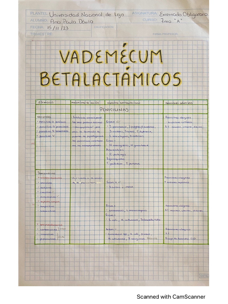 Davila Ana Paula | PDF