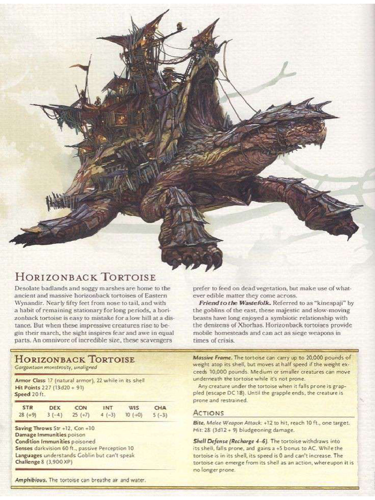 Tartaruga Horizontal | PDF