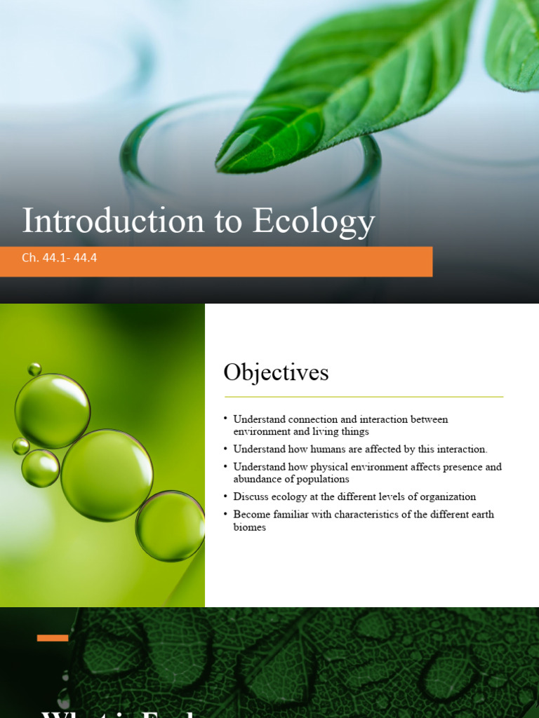 Bio 150 Lecture 2 Edited - Introduction To Ecology | PDF | Forests ...