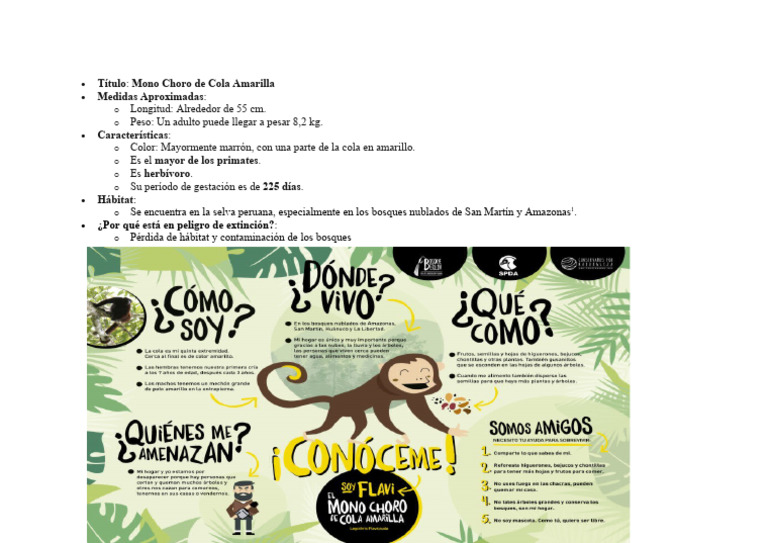 Ficha Infografia Mono Choro de Cola Amarilla | PDF | Ciencia y matemáticas