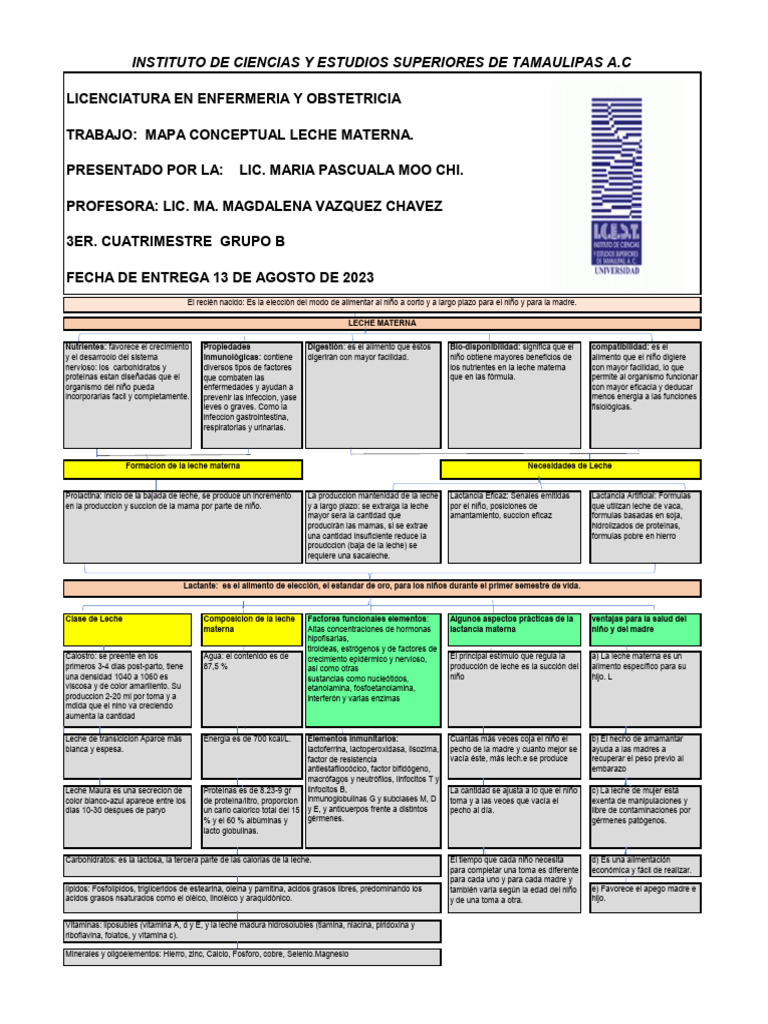 MAPA LECHE MATERNA | PDF | La leche materna | Leche