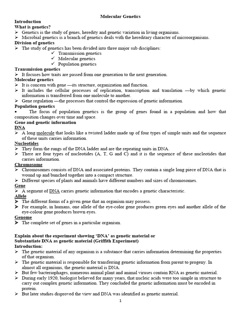 Molecular Genetics | PDF | Translation (Biology) | Operon