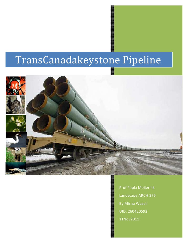 Data Processing and Encoding Guide | PDF | Keystone Pipeline | Petroleum