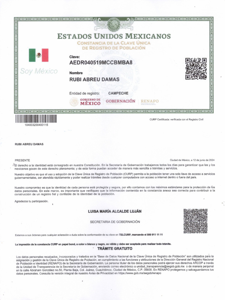 CURP | PDF