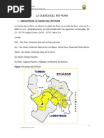 Definición y Características del Cauce | PDF