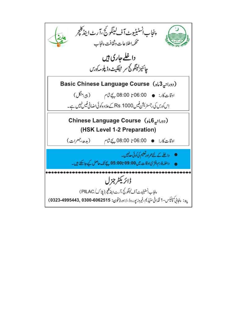 Chinese Language New Add | PDF