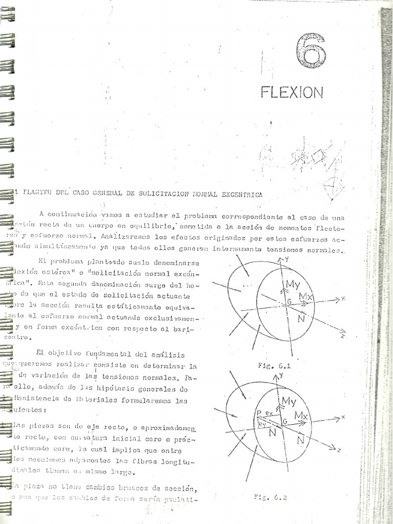 Apunte Flexion | PDF