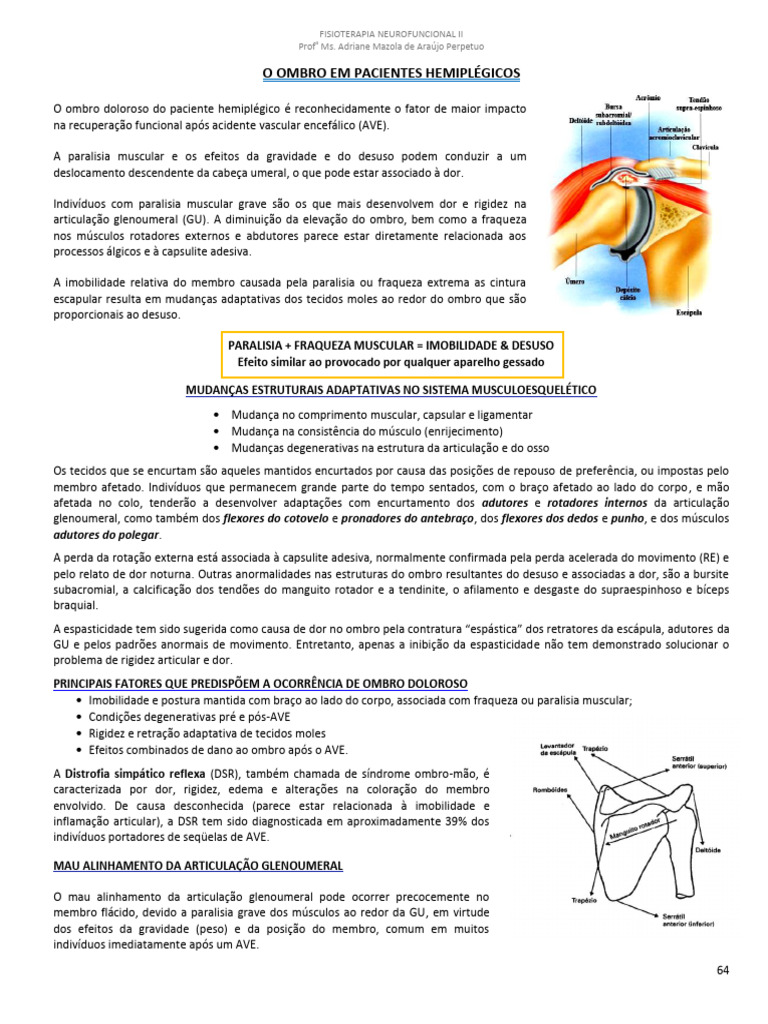 OMBRO NA HEMIPLEGIA | PDF | Músculo | Dor