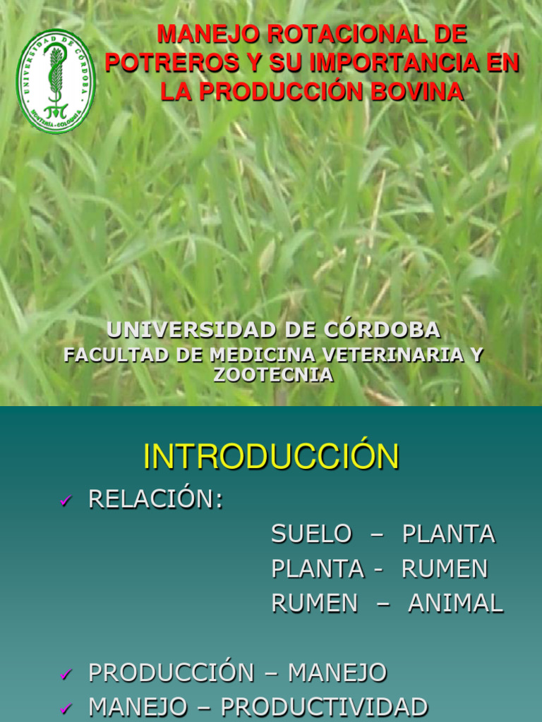 Pastoreo Rotacional | PDF | Pasto | Pasto