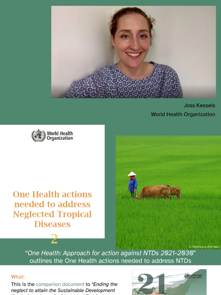 One Health Strategies for NTDs | PDF | Wellness
